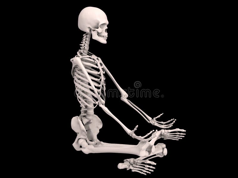 Sitting Skeleton Stock Illustrations – 1,269 Sitting Skeleton Stock ...