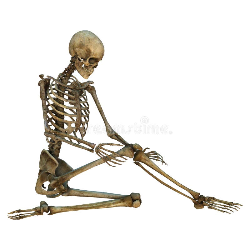 Skeleton kneel stock illustration. Illustration of backache - 15565323