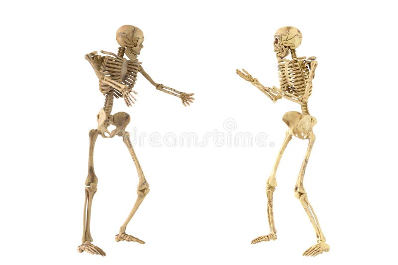 Human Skeleton Bone Standing Action Stock Photo - Image of action ...