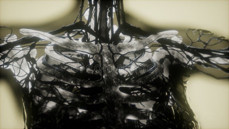 Heart Ekg Skeleton Stock Illustrations – 28 Heart Ekg Skeleton Stock ...