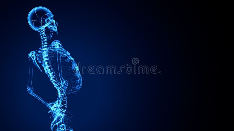 Perpendicular Skeleton Stock Illustrations – 64 Perpendicular Skeleton ...