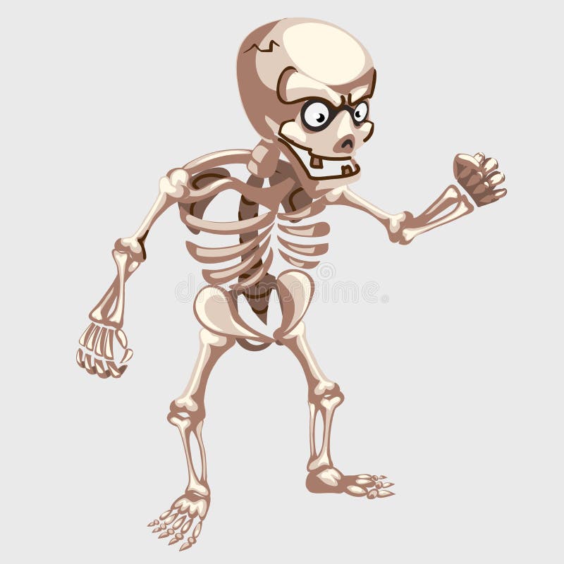 Human Skeleton Closeup with Eyes in Cartoon Style Stock Vector ...