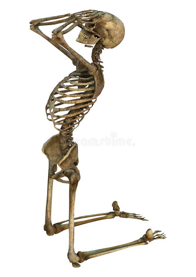 Human Skeleton stock illustration. Illustration of render - 37934853
