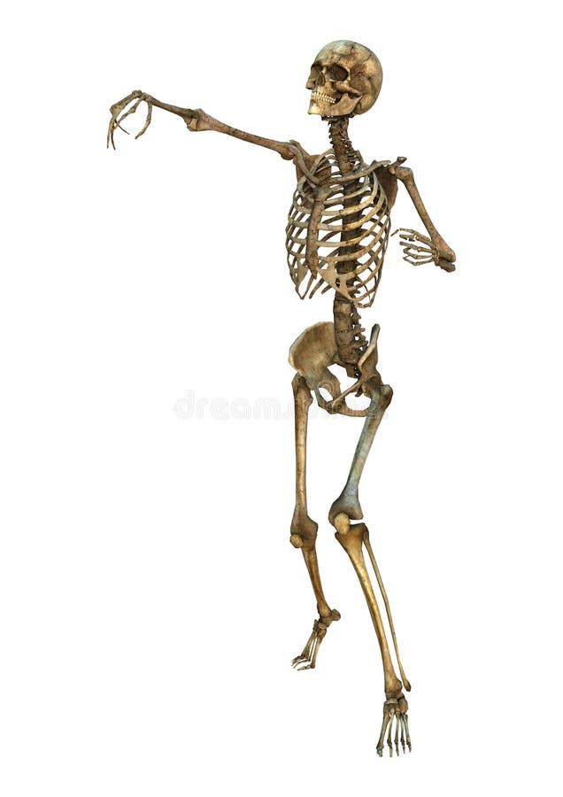 Smiling Skeleton stock illustration. Illustration of graphic - 40925286