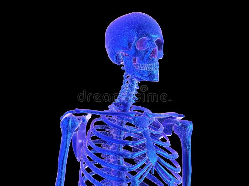 Cyber Skeleton Stock Illustrations – 960 Cyber Skeleton Stock ...