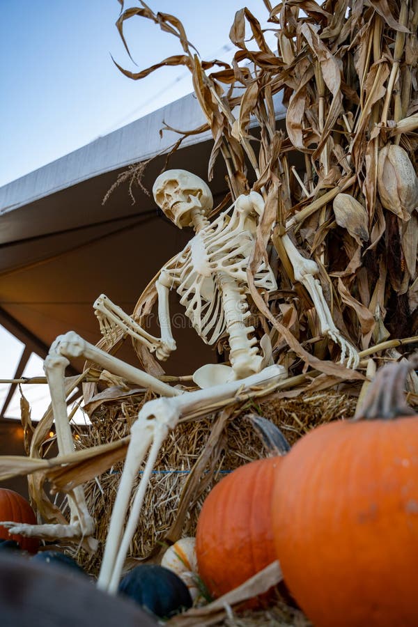 A Human Skeleton Decor for Halloween Stock Image - Image of festival ...
