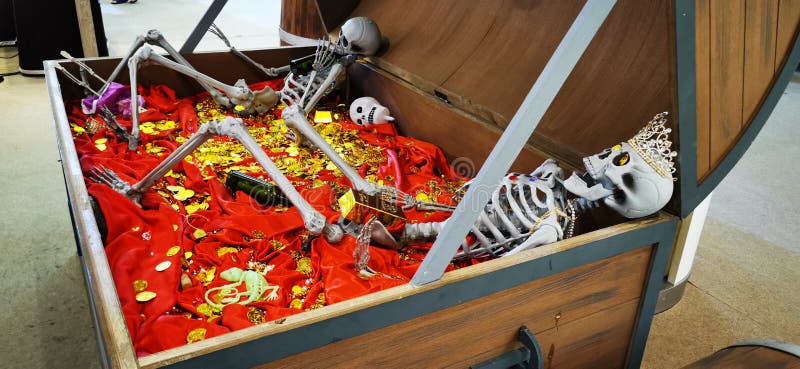 A Human Skeleton Displayed in a Treasure Box. Stock Image - Image of ...