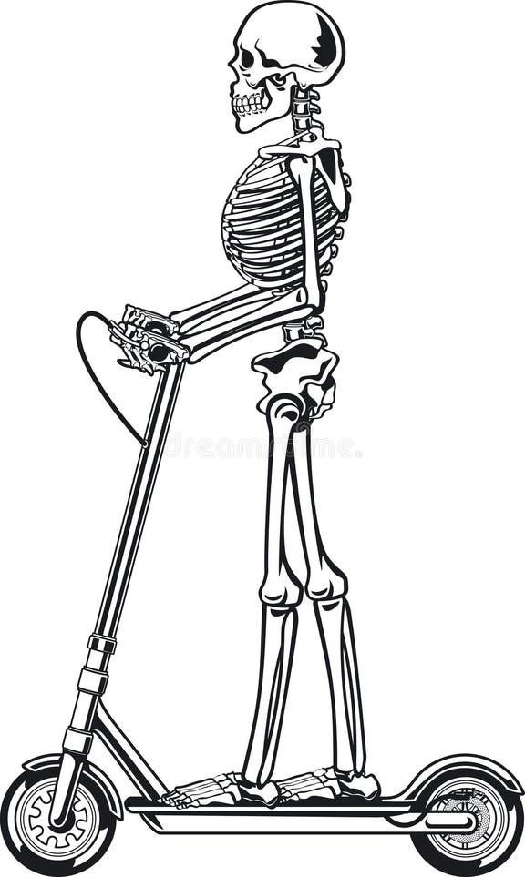 Human Skeleton Driving on a Electric Scooter Stock Vector ...