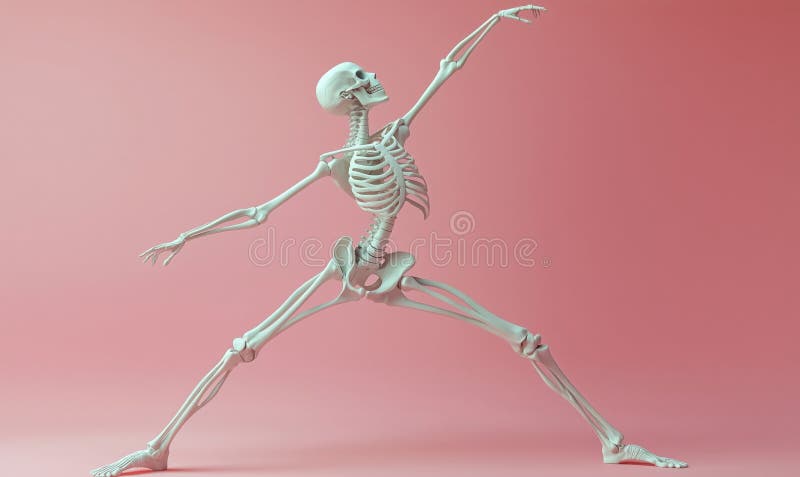 Human Skeleton in Dynamic Pose Showcasing Flexibility and Movement ...