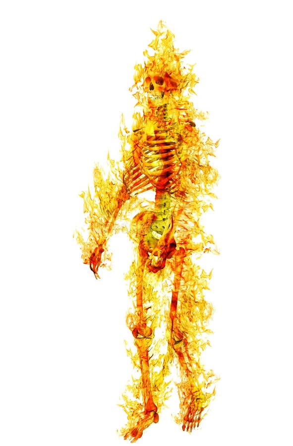 Skull in flame stock image. Image of burning, dark, danger - 16717681