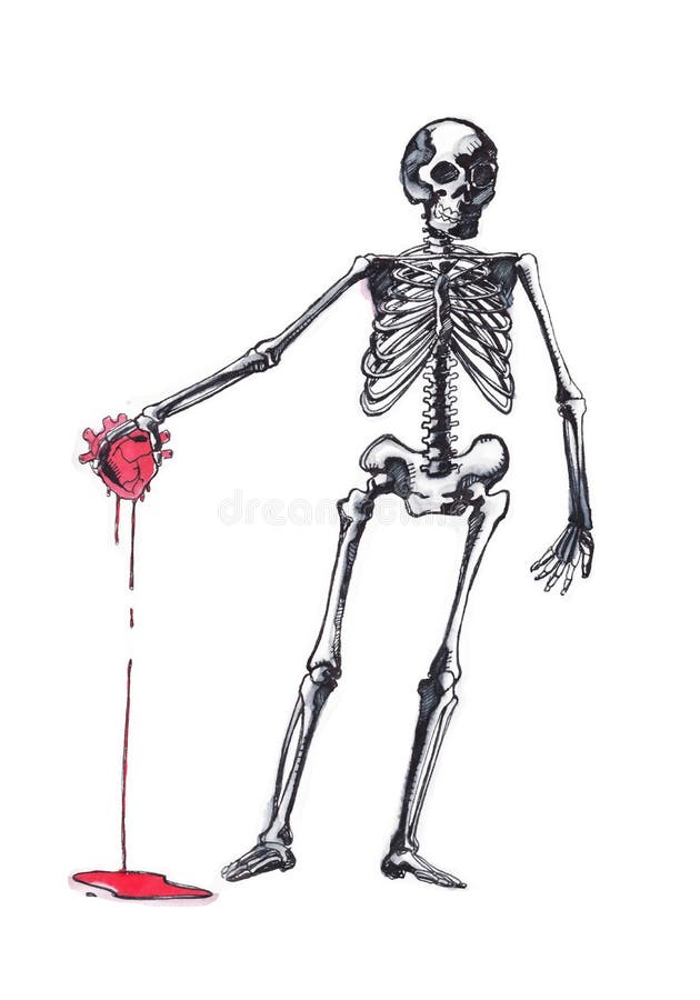 Human Skeleton with a Heart on His Hand Stock Illustration ...