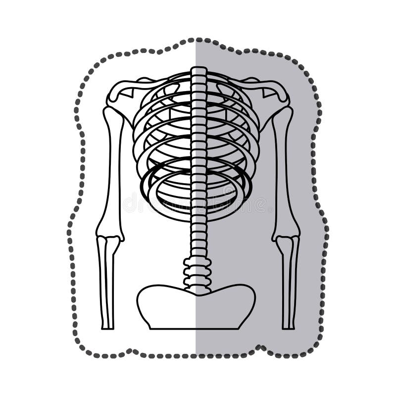 Human skeleton icon image stock illustration. Illustration of human ...
