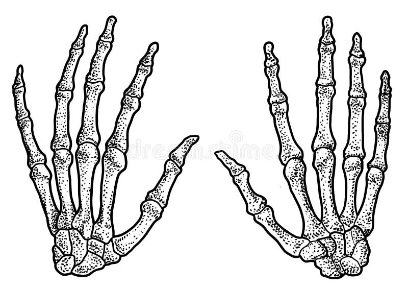 Palm Up Hand Illustration, Drawing, Engraving, Ink, Line Art, Vector ... Palm Up Hand Illustration, Drawing, Engraving, Ink, Line Art, Vector ...