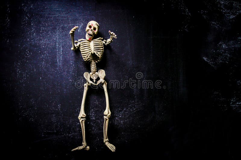 Human Skeleton stock image. Image of horror, afterlife - 78822653