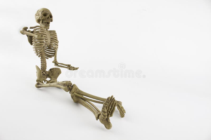 Human Skeleton Isolated On White Background Stock Image - Image of ...