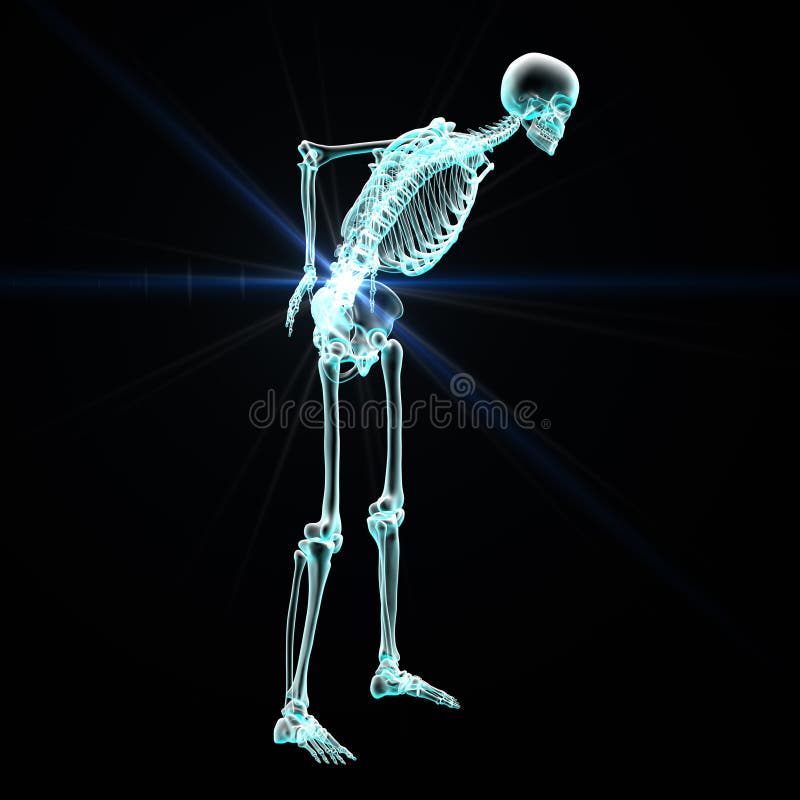 Human Skeleton with Lower Back Pain, 3D Illustration Stock Illustration ...