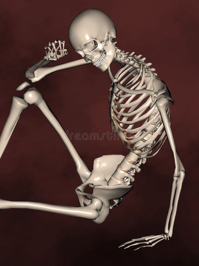 Human Skeleton M-SK-POSE G-08-5, 3D Model Stock Illustration ...