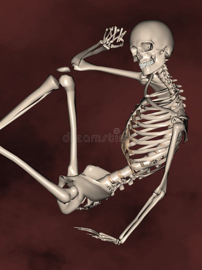 Human Skeleton M-SK-POSE G-08-1, 3D Model Stock Illustration ...