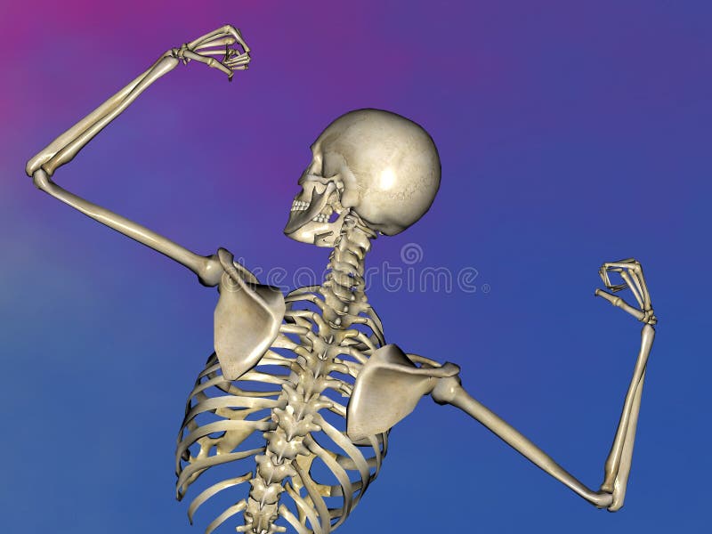 Human Skeleton M-SK-POSE Bb-56-7, Vertebral Column, 3D Model Stock ...