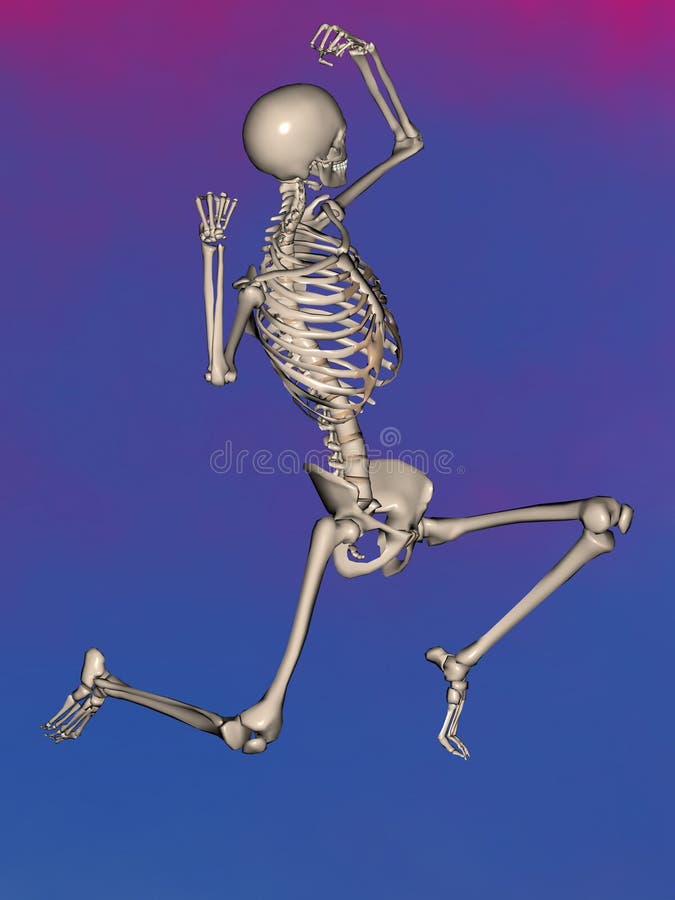 Human Skeleton M Sk Pose Stock Illustrations – 31 Human Skeleton M Sk ...