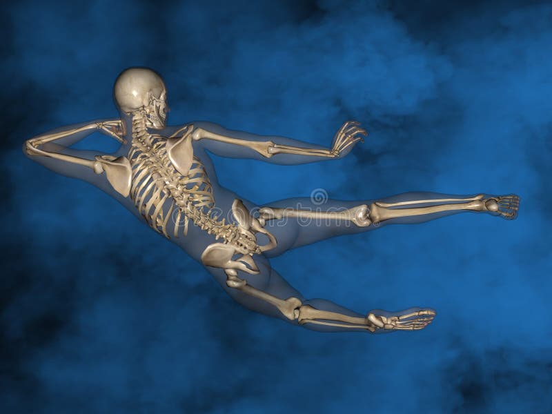 Human Skeleton M-SK-POSE Vfm-1-10, 3D Model Stock Illustration ...