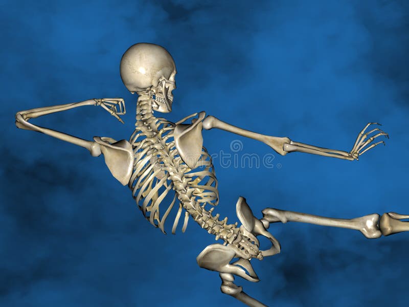 Human Skeleton M-SK-POSE Vfm-1-4, 3D Model Stock Illustration ...