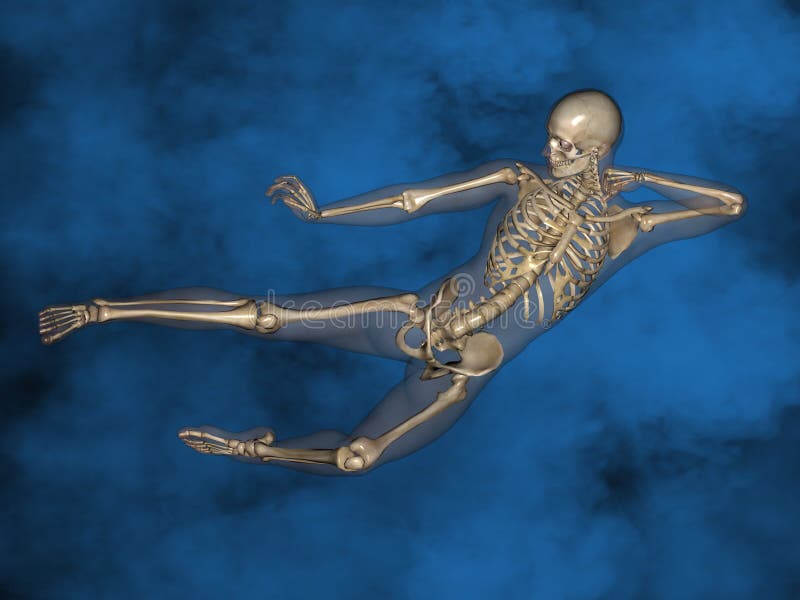 Human Skeleton M-SK-POSE Vfm-1-9, 3D Model Stock Illustration ...