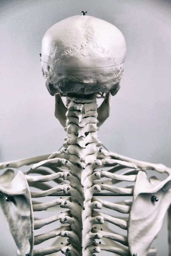 5,590 Aid Model Photos - Free & Royalty-Free Stock Photos from Dreamstime