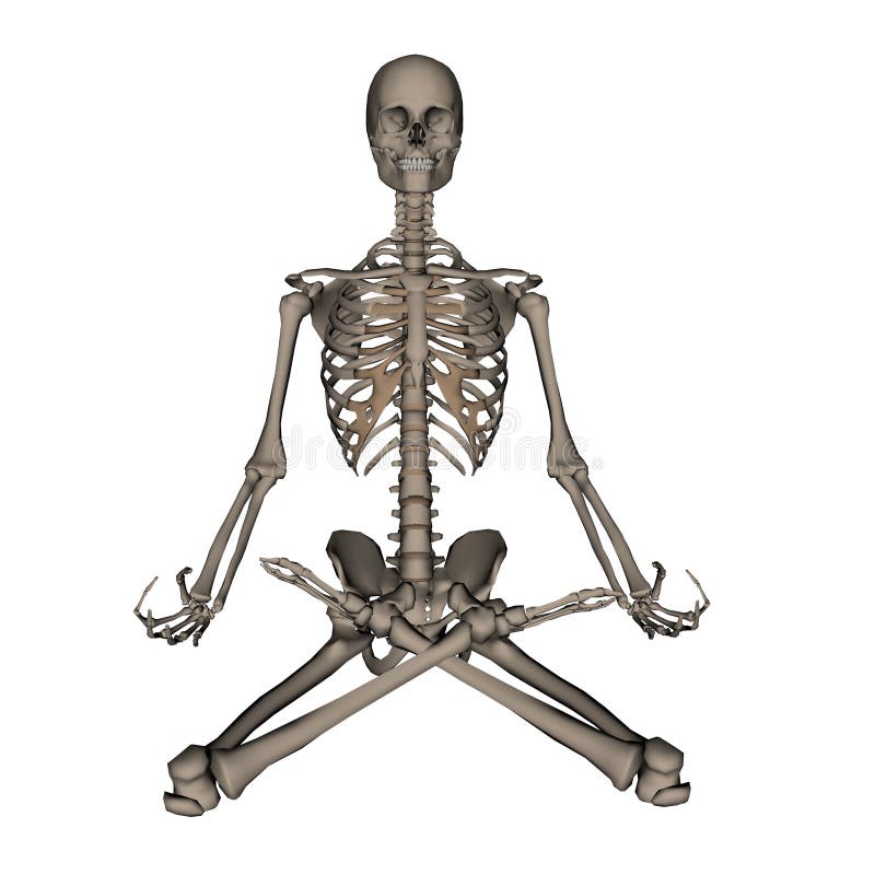 Meditation Skeleton Stock Illustrations – 361 Meditation Skeleton Stock ...