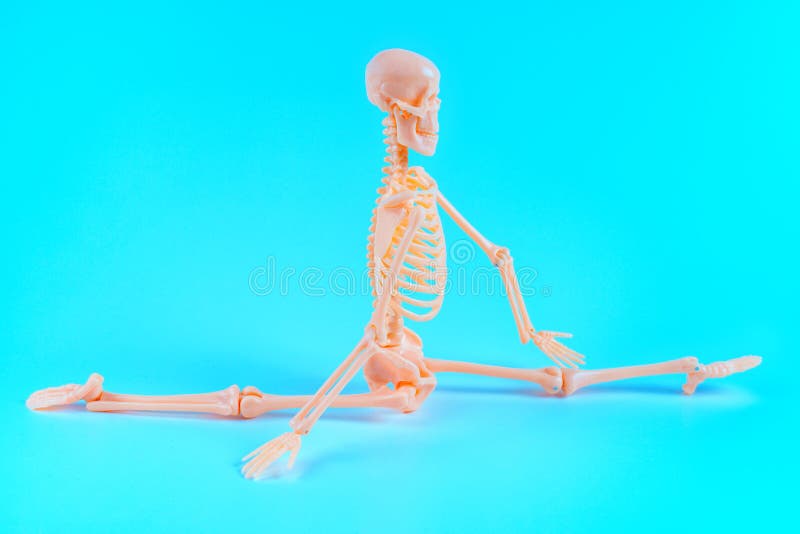 424 Skeleton Position Stock Photos - Free & Royalty-Free Stock Photos ...