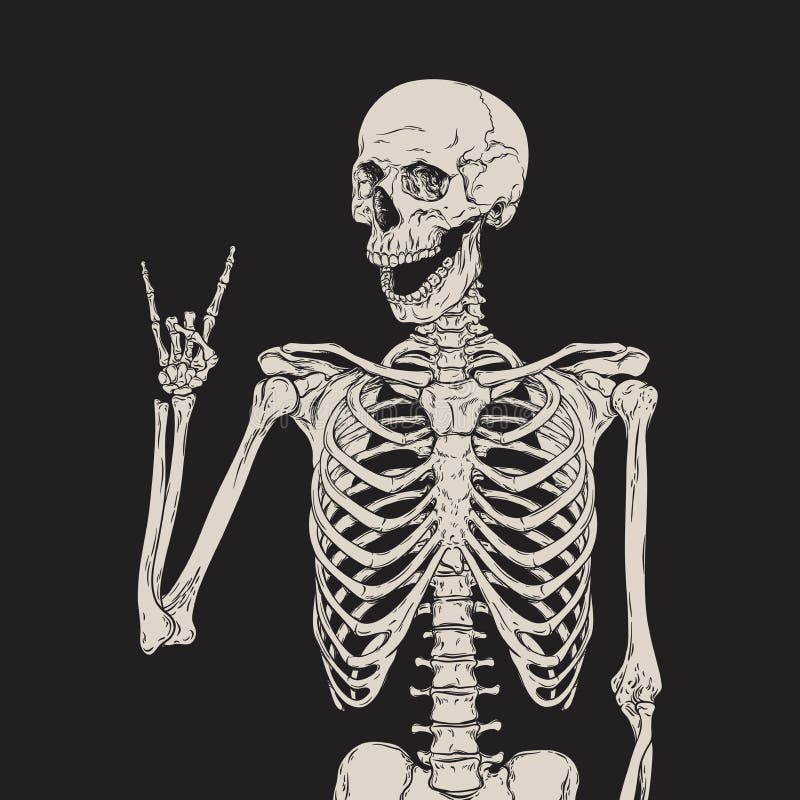 Human Skeleton Posing Isolated Over Black Background Vector Stock ...