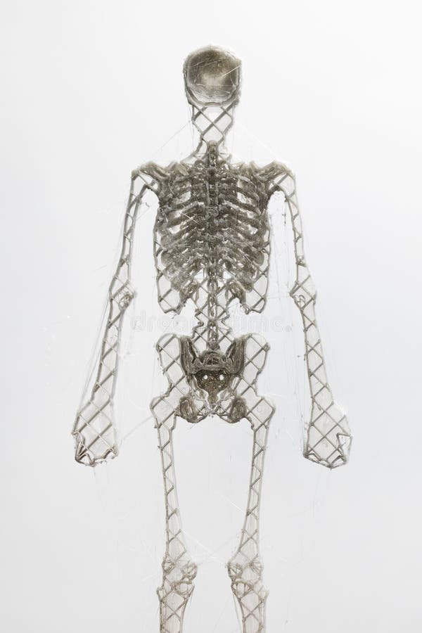 Human Skeleton Printed on a 3D Printer, Modern Technologies Stock Image ...