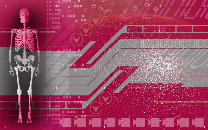 Human Skeleton in Red Colour Stock Illustration - Illustration of ...