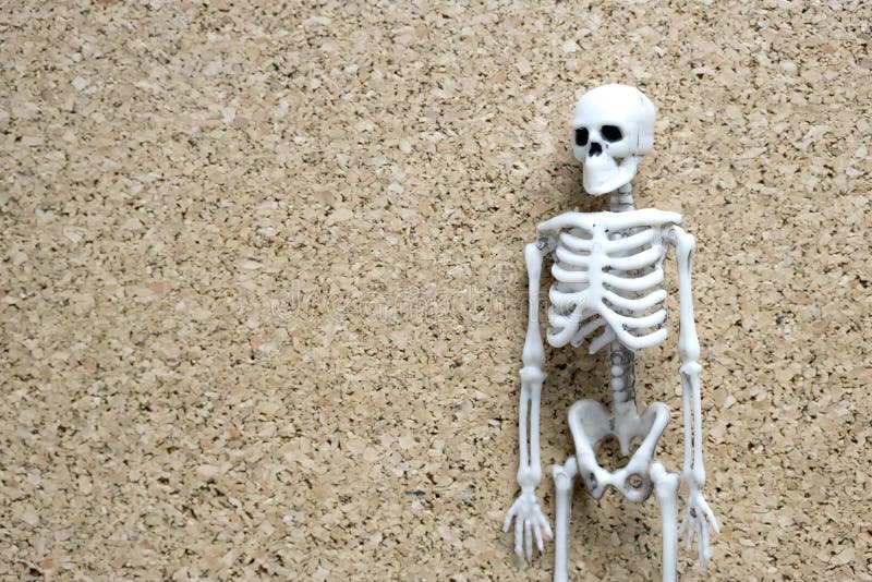 The Human Skeleton In The Right Corner Of The Frame On The Left Is ...