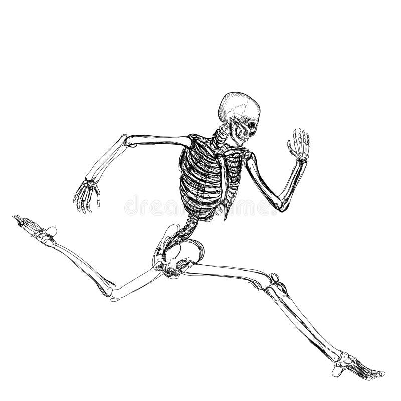 Human skeleton running stock vector. Illustration of grave - 96338573