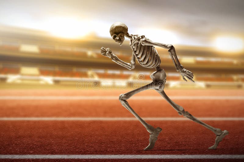 Human Skeleton Running in Stadium Stock Image - Image of legs, light ...
