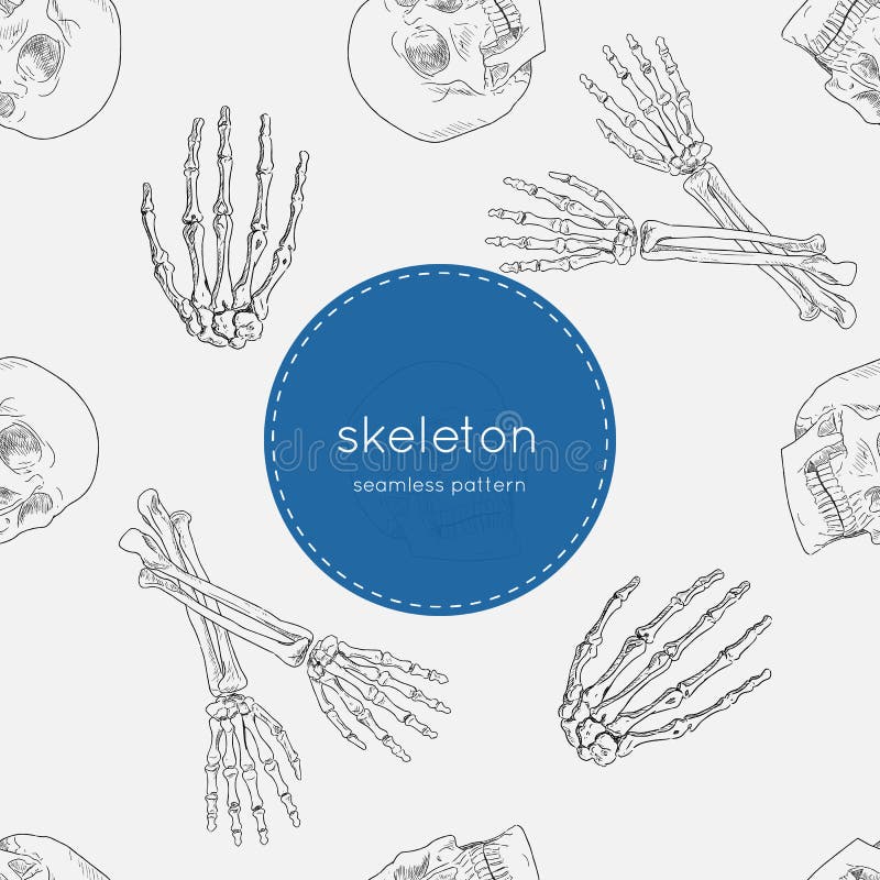 Human Skeleton, Seamless Pattern Vector. Stock Vector - Illustration of ...