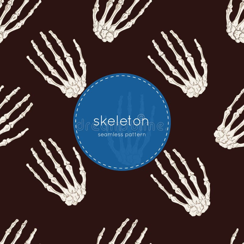 Human Skeleton, Seamless Pattern Vector. Stock Vector - Illustration of ...