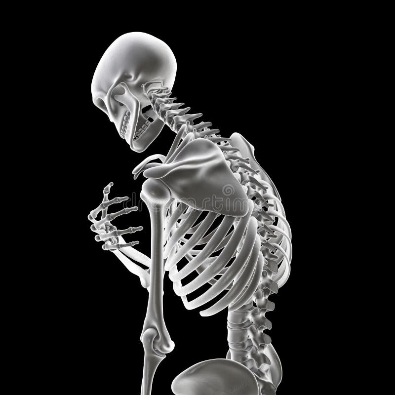 Human Skeleton with Shoulder Pain Stock Illustration - Illustration of ...