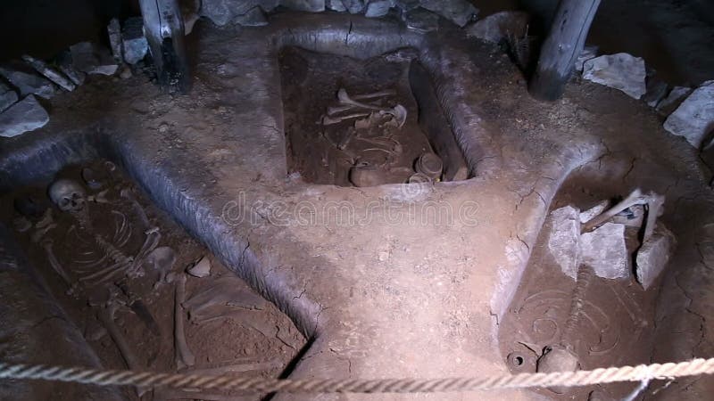 Human Skeleton, Skull, Bones, Excavated a Burial Stock Footage - Video ...