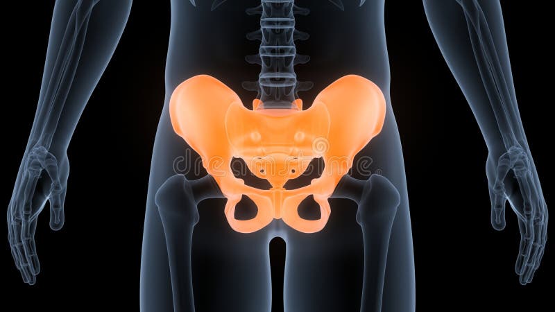 3d Nose Cage Stock Illustrations – 11 3d Nose Cage Stock Illustrations ...