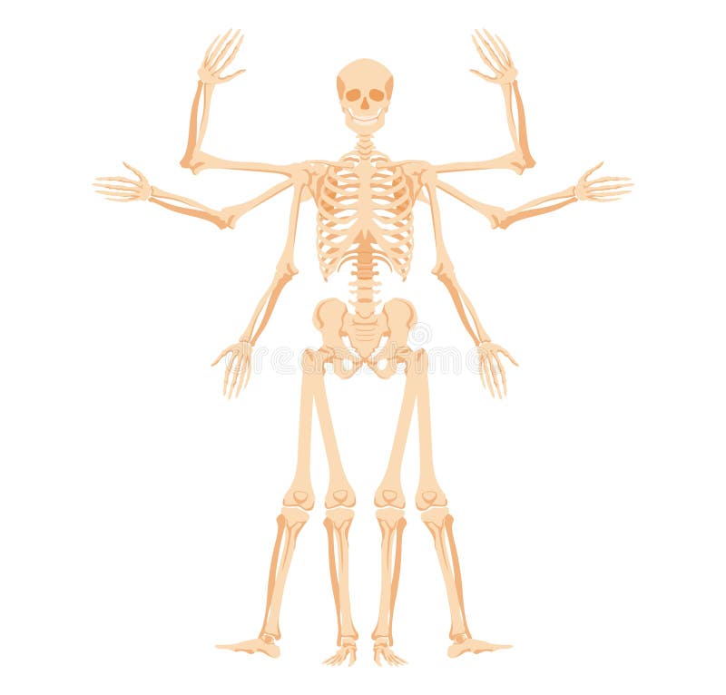 Multiarmed Form Stock Illustrations – 8 Multiarmed Form Stock ...