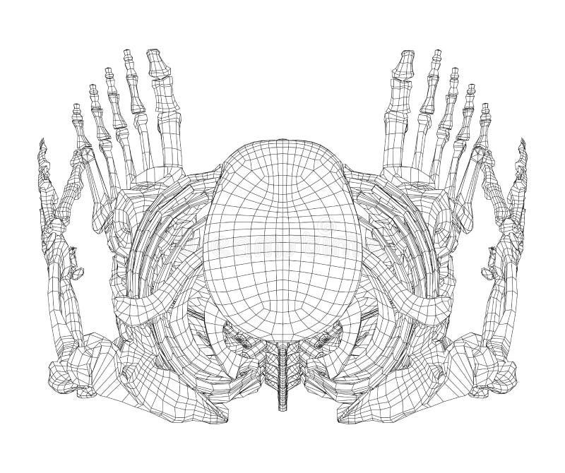 Bony Frame Stock Illustrations – 78 Bony Frame Stock Illustrations ...