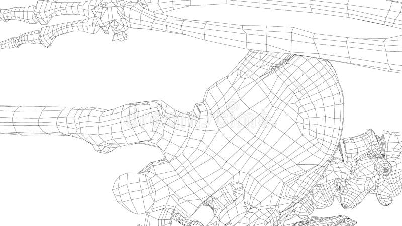 Human Skeleton Blueprint Vector Stock Illustrations – 36 Human Skeleton ...