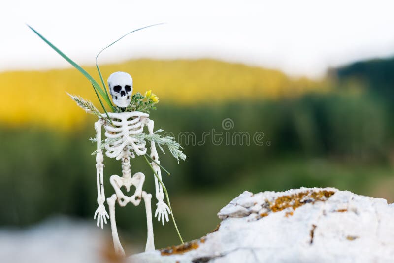 Human Skeleton in Which Grass and Flowers are Inserted Stock Photo ...