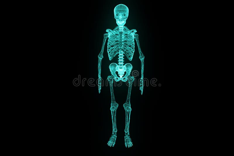 Human Skeleton Wireframe Hologram in Motion. Nice 3D Rendering Stock ...