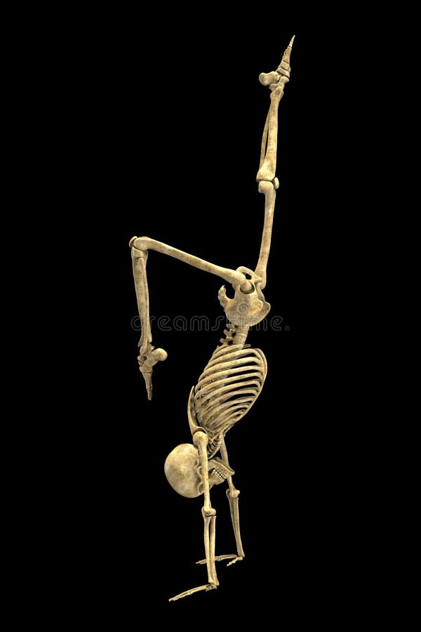 Human Skeleton in Yoga Position, 3D Illustration Stock Illustration ...