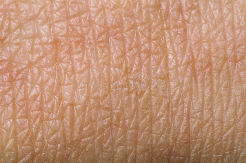 Human skin stock image. Image of detailed, freckles, medicine - 28379893