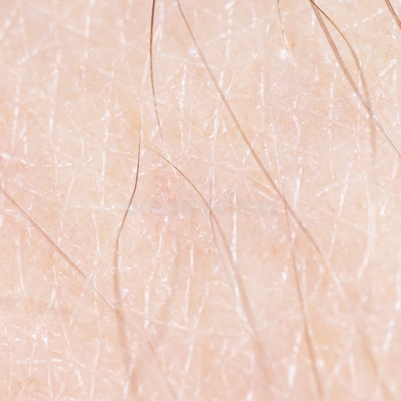 Human Skin As an Abstract Background Stock Image - Image of body ...