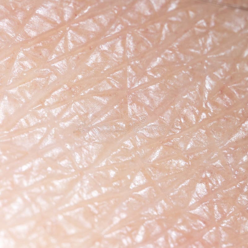 Human Skin As an Abstract Background Stock Photo - Image of people ...